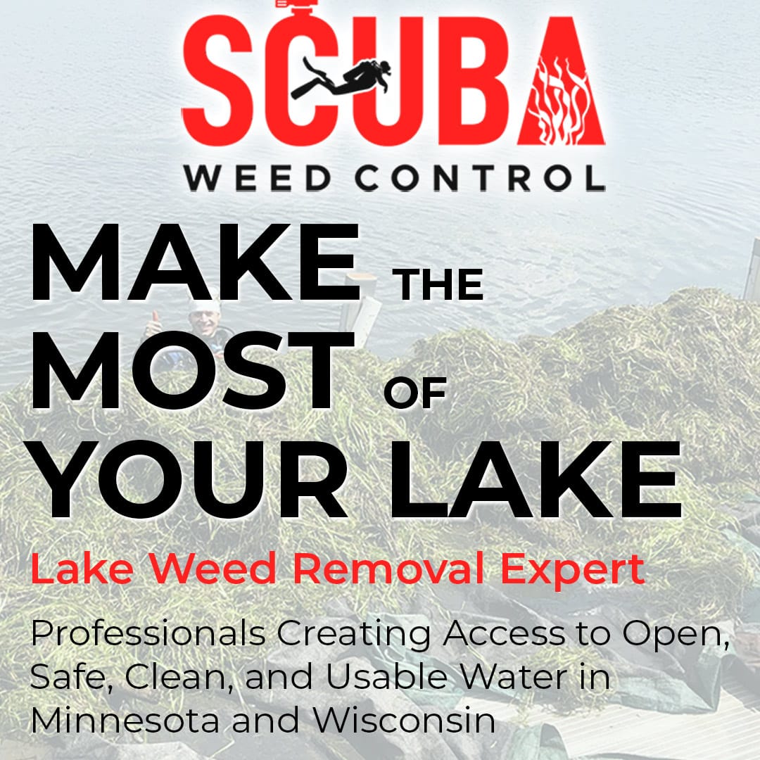 Shoreline & Beach Restoration in Eden Prairie | Lakeshore Cleanup MN ...